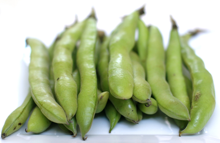 Fava Beans - M. Levin & Co