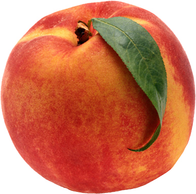 Peach - M. Levin & Co