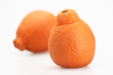 Tangelo - M. Levin & Co