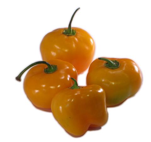 Manzano Pepper - M. Levin & Co