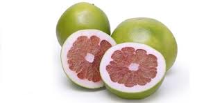 Pummelo - M. Levin & Co